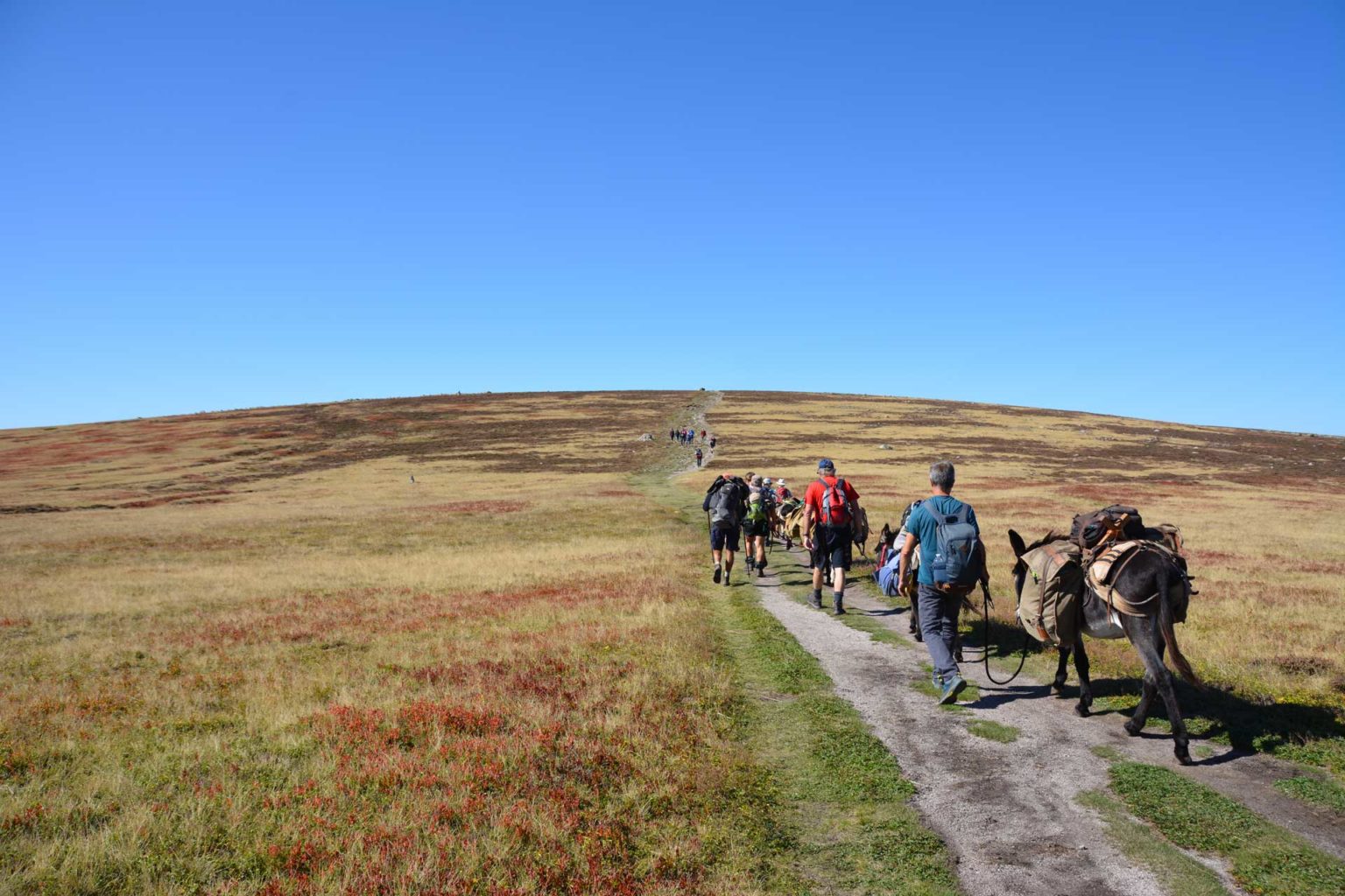 Association Sur le chemin de Robert Louis Stevenson (GR70) - site officiel