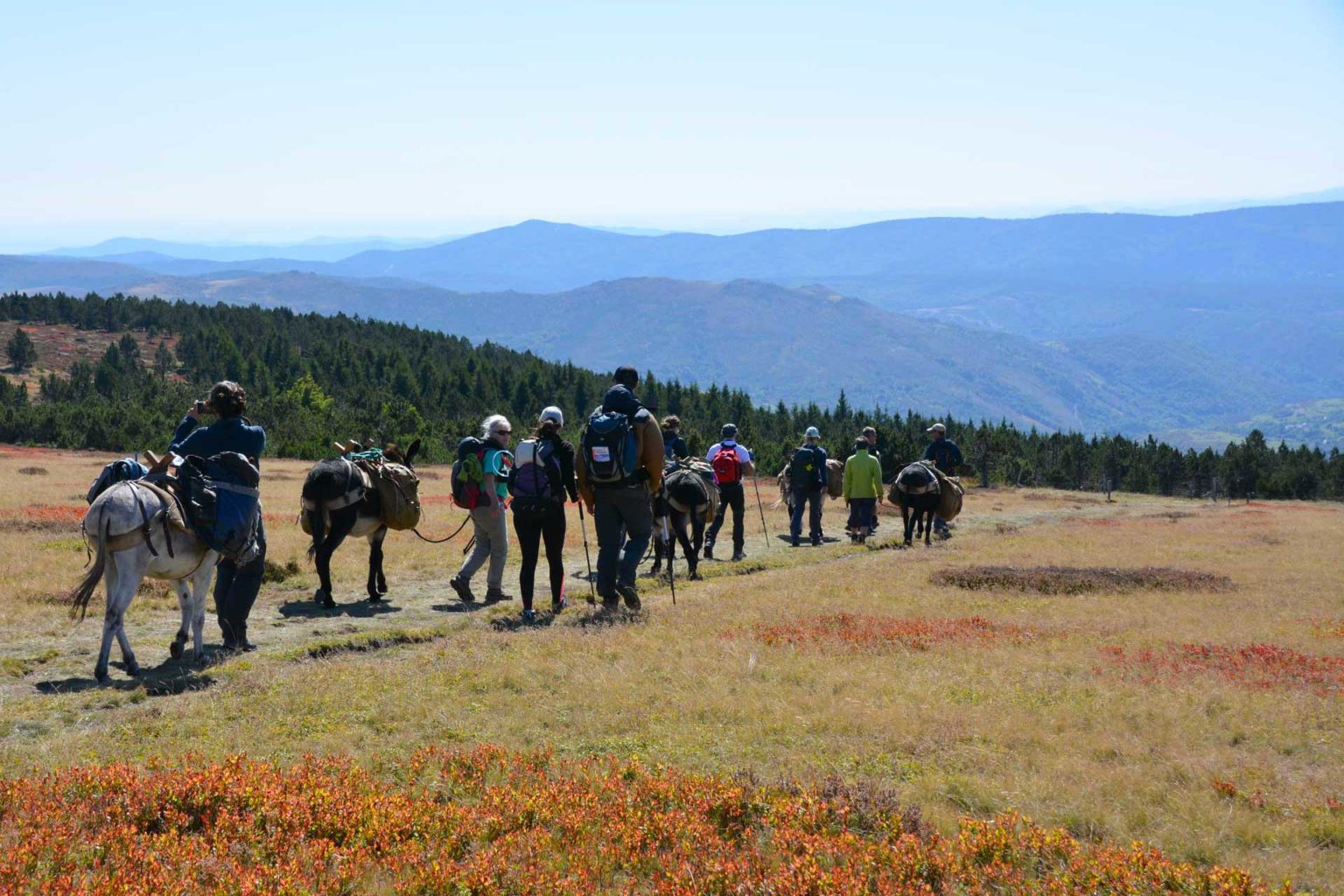 Association Sur le chemin de Robert Louis Stevenson (GR70) - site officiel