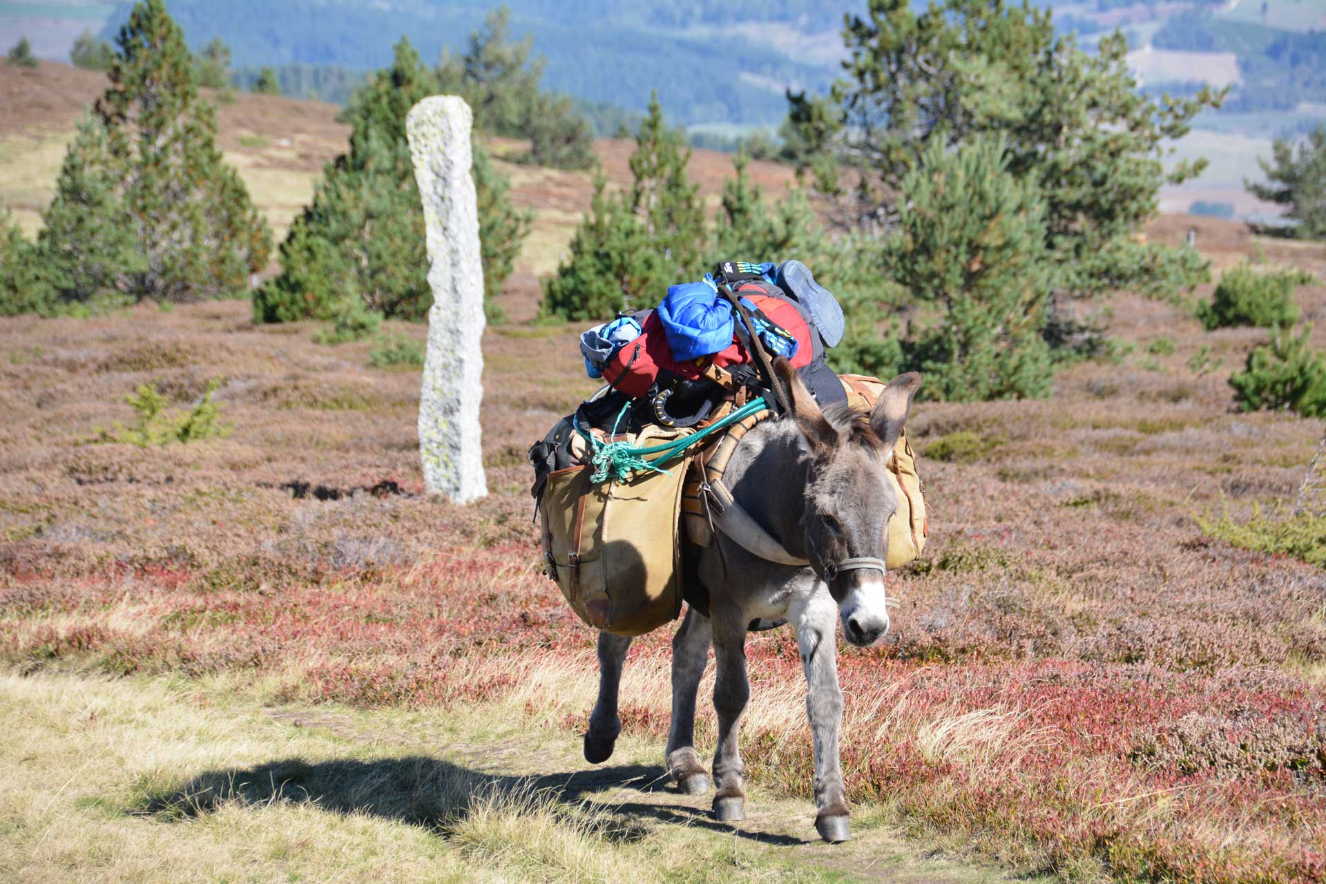 Association Sur le chemin de Robert Louis Stevenson (GR70) - site officiel